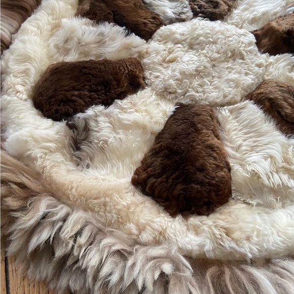 Other | Genuine Peruvian Round Alpaca Rug Wallhanging Wheel Of Fortune ...